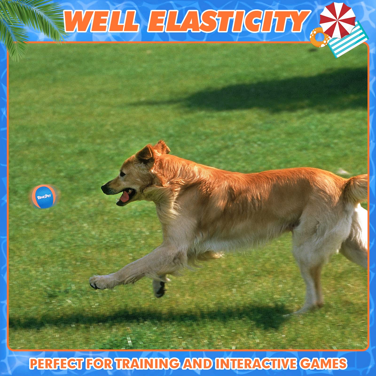 Dog Bing Wallpaper Gallery