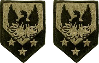 Amazon.com: 110th Maneuver Enhancement Brigade (MEB) OCP Patch-2 Pack ...