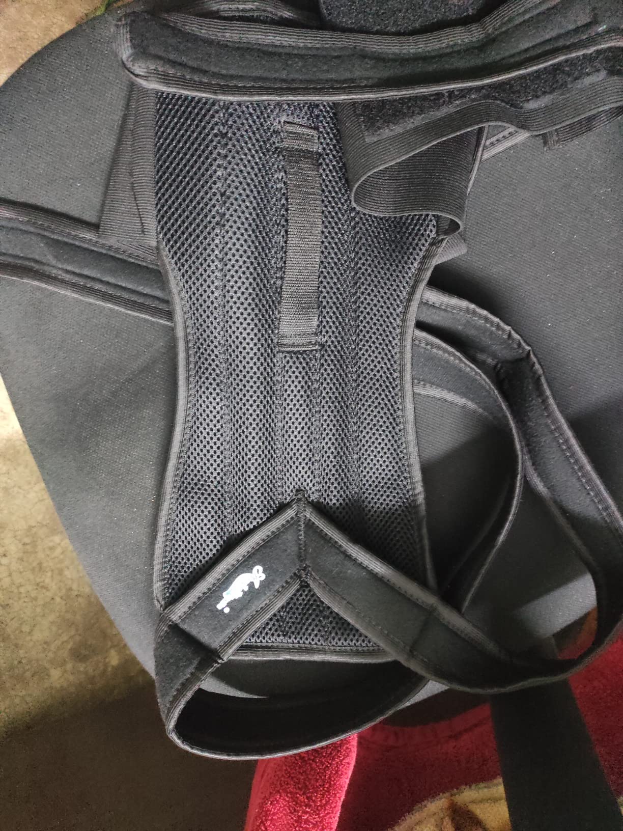 Buy Anshelite India™ Unisex Posture Corrector With Flexible Plates ...