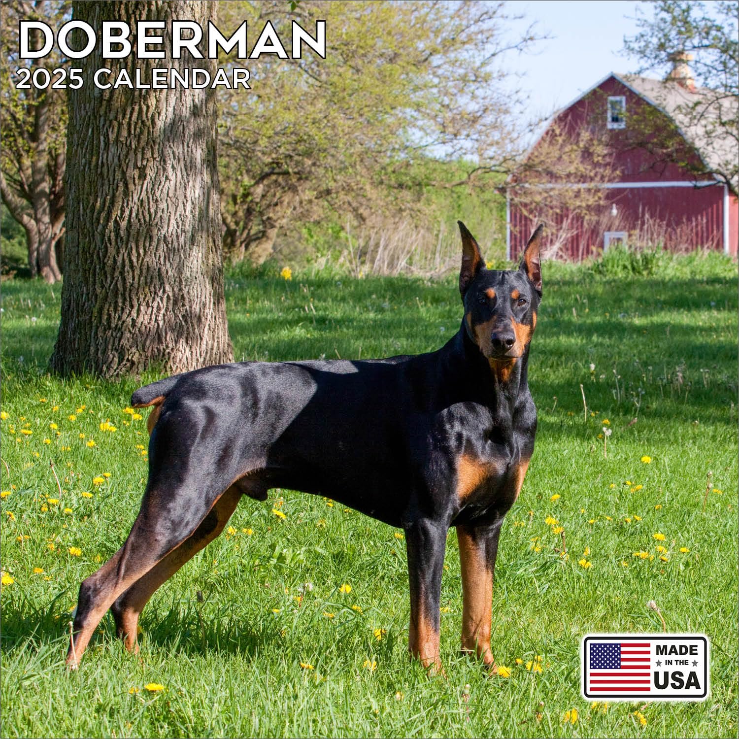2025 Doberman Calendar - Dog Breed Wall Calendar - 12 x 24 Open - Thick ...