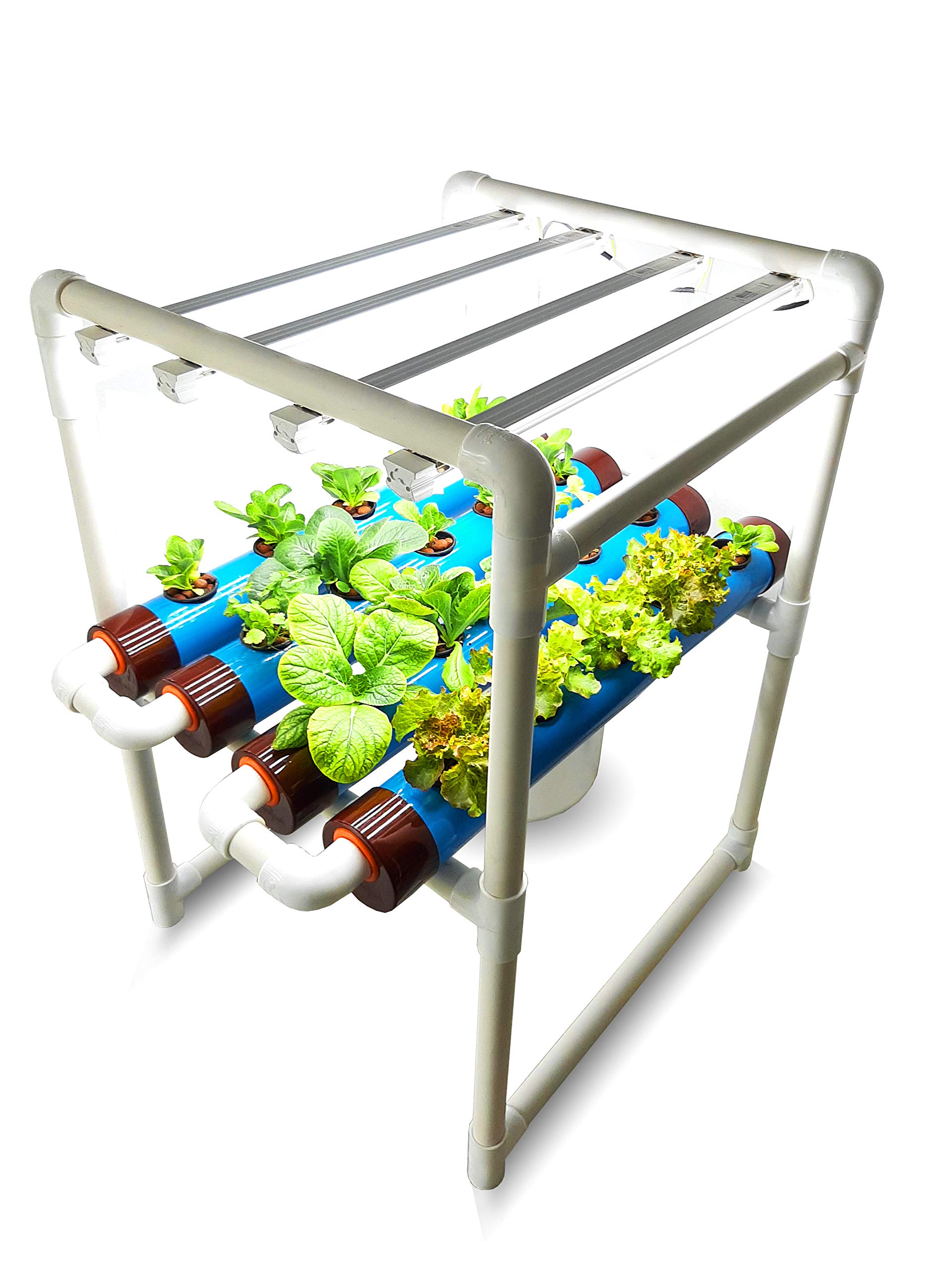 Buy Pindfresh Hydroponics kit : The Tashi Nino Nft Hydropoinic system ...
