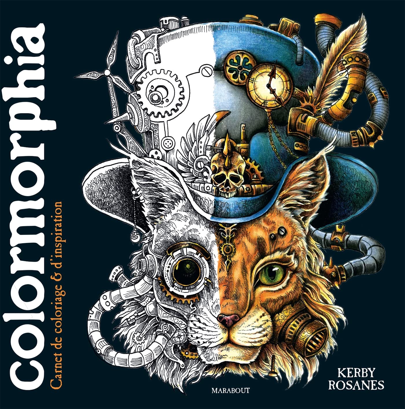 Colormorphia: Carnet de coloriage et d'inspiration : Rosanes, Kerby ...