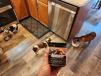 BiologicVET - BioDIGEST Plant Probiotic, 380g All-Natural Advanced Dog ...