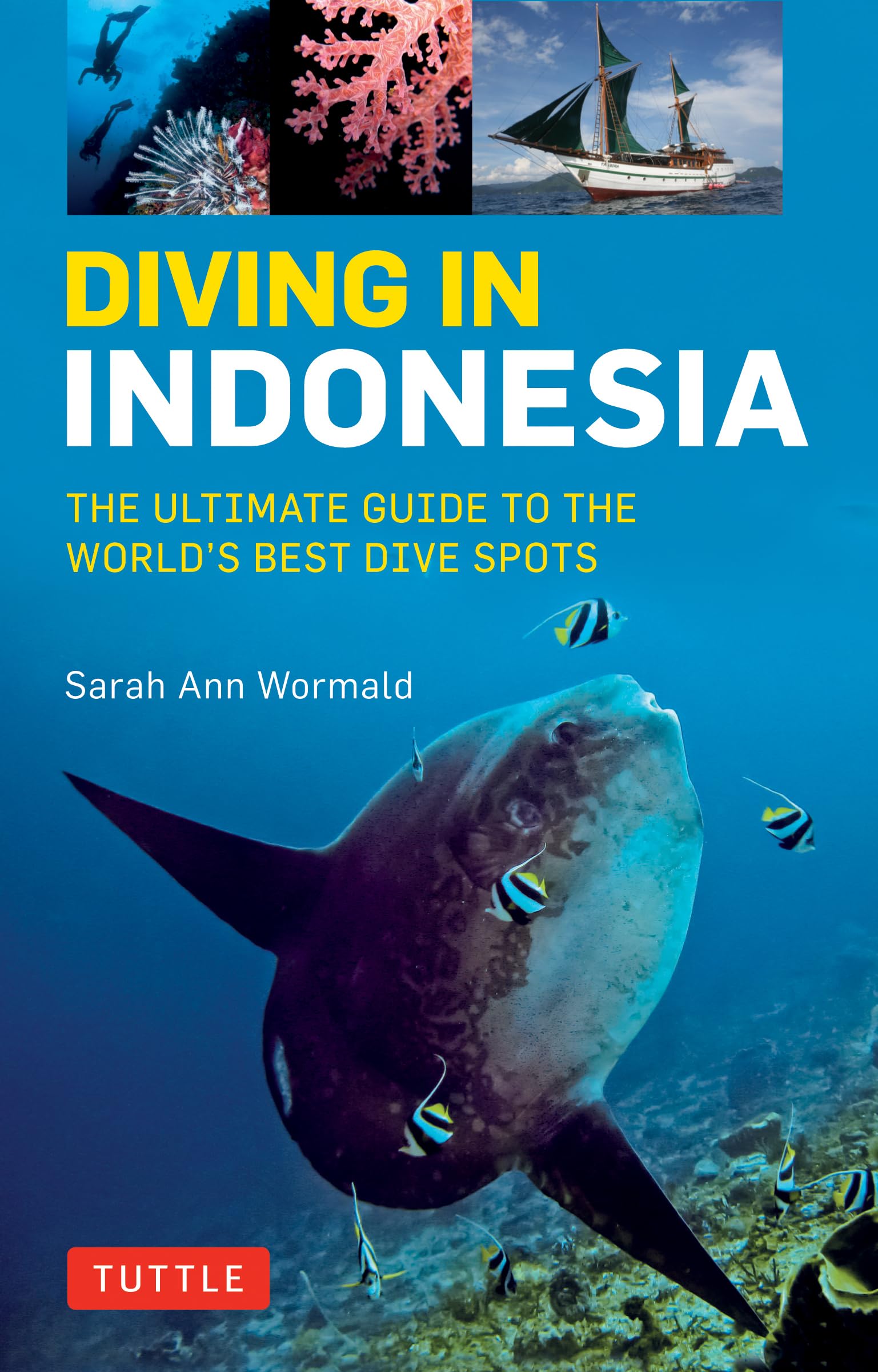 Diving in Indonesia: The Ultimate Guide to the World's Best Dive Spots ...