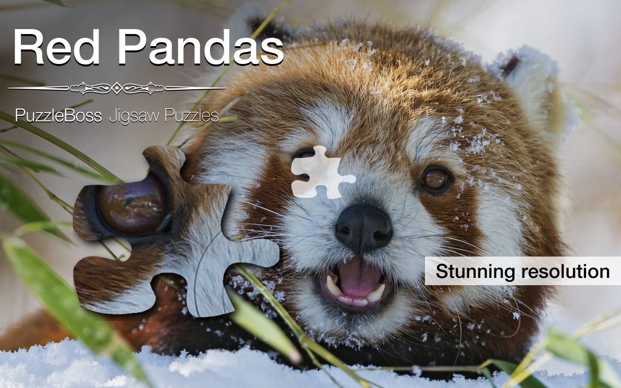 Red Panda Jigsaw Puzzles - App on Amazon Appstore