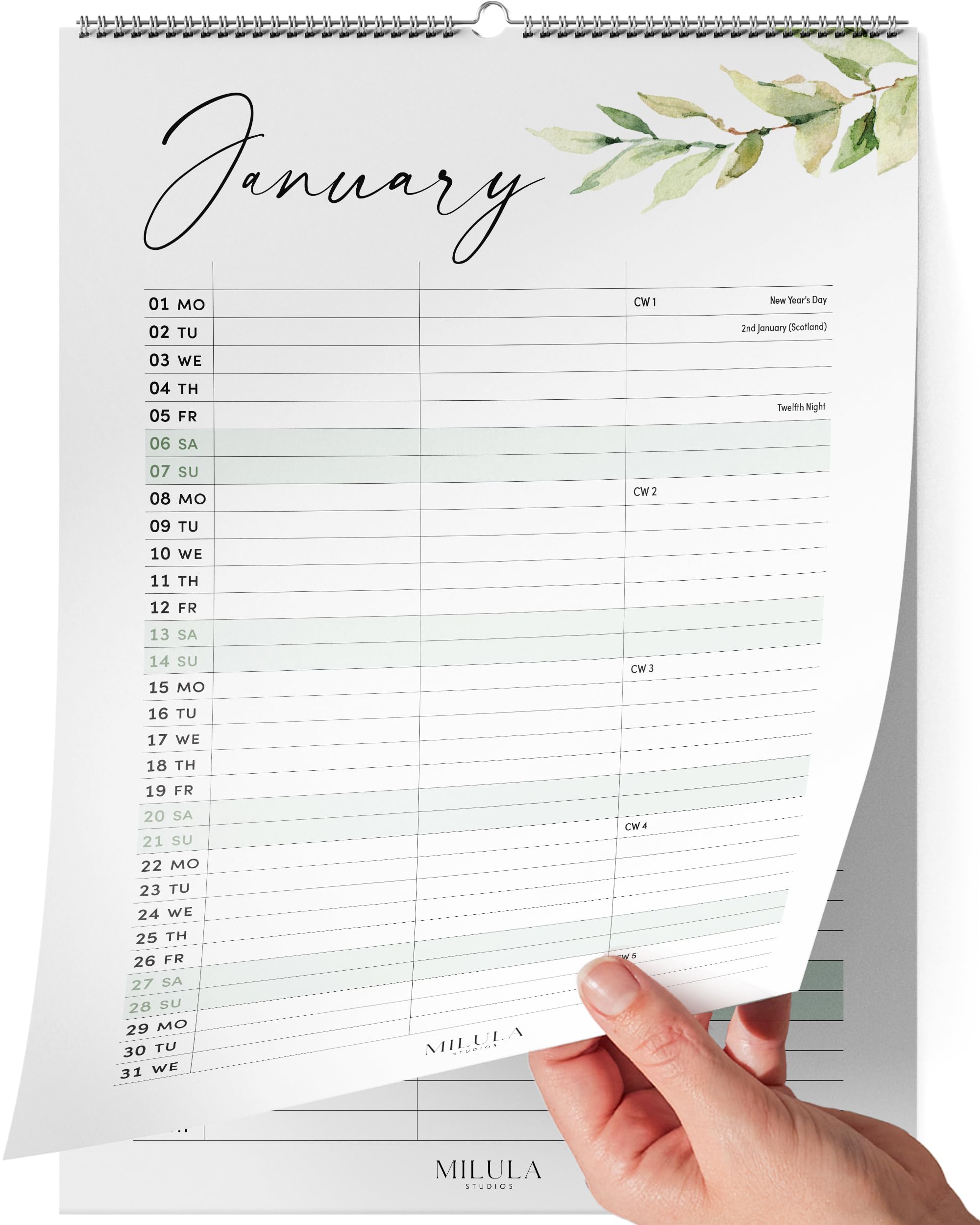 Buy 2024 Greenery Wall - Monthly 2024 Calander in A4 Portrait Format ...