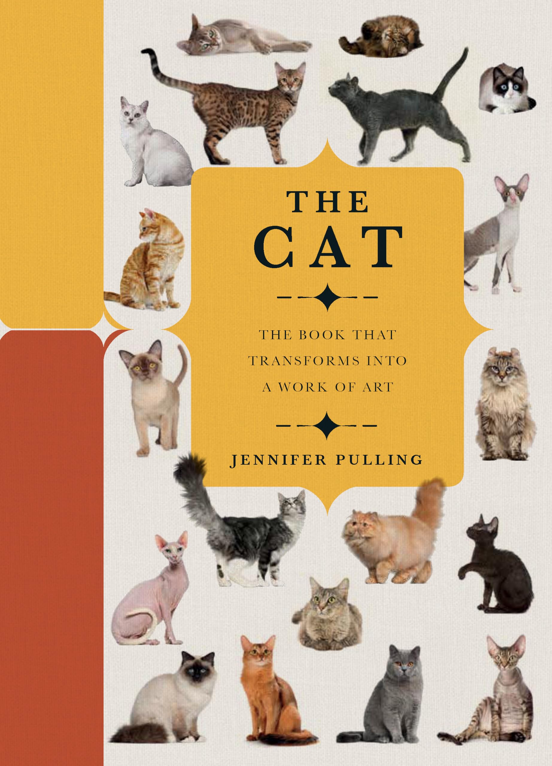Paperscapes: The Cat: A Book That Transforms Into a Work of Art ...