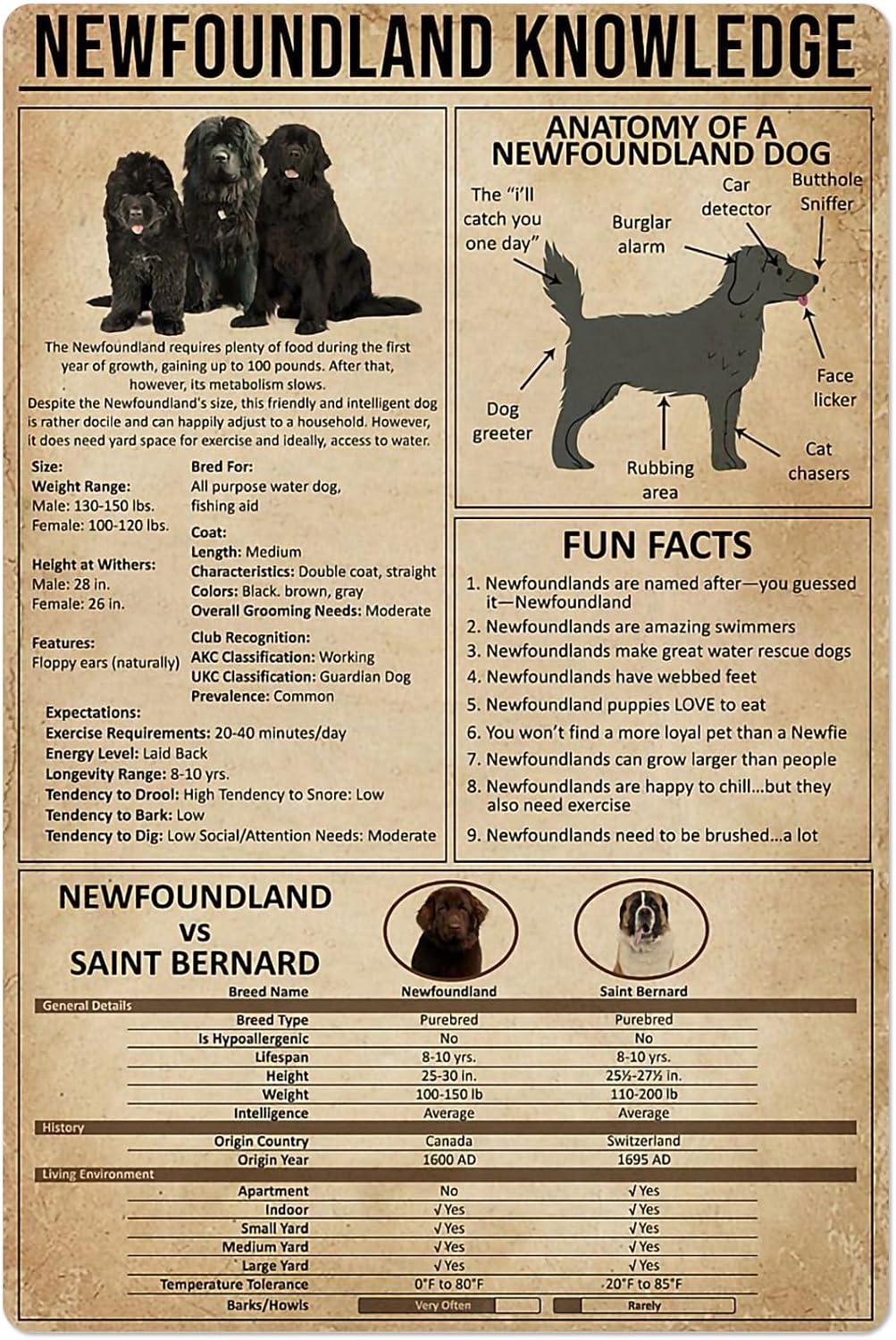 Amazon.com: Newfoundland Knowledge Metal Tin Signs Newfoundland ...