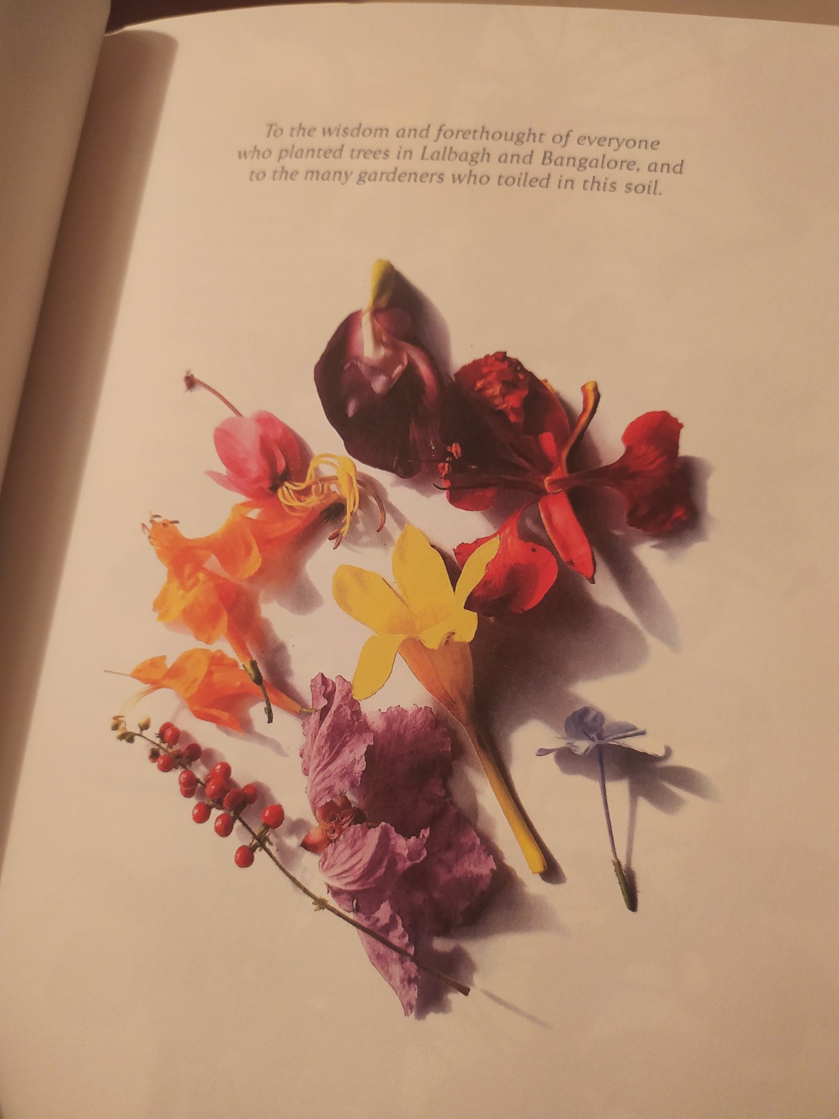 Bangalore’s Lalbagh: A Chronicle of the Garden and the City : Suresh ...