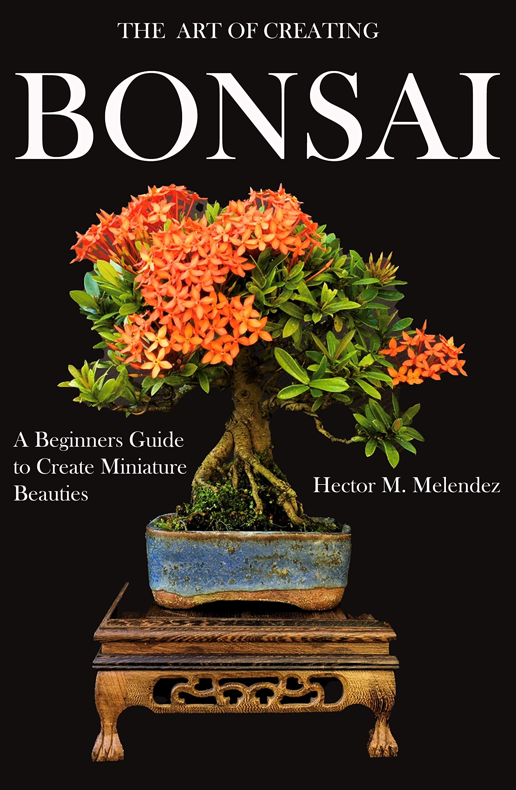 Buy The Art of Creating Bonsai: A Beginners Guide to Create Miniature ...