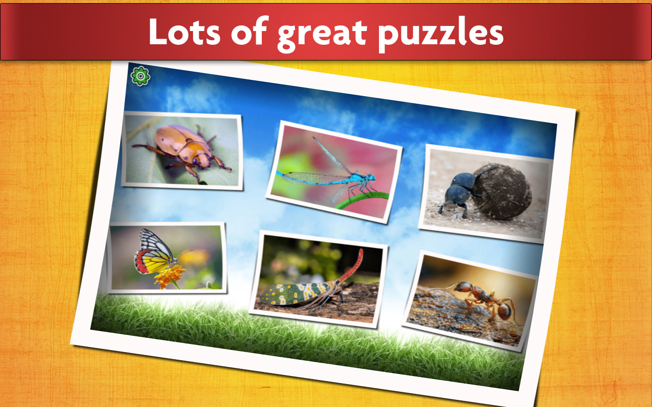 Insects and Bugs Puzzles for Kids - Fun and Educational HD Jigsaw ...