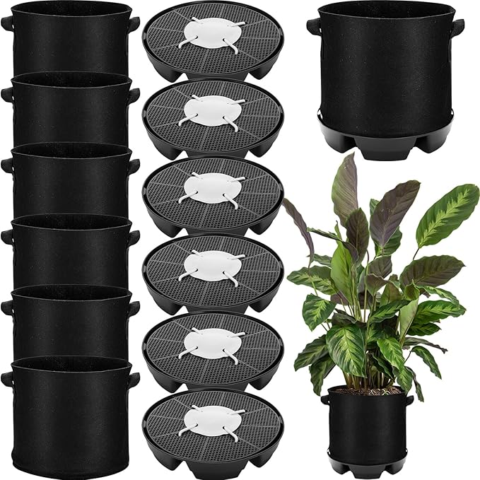 Amazon.com : Jingmore 6 Set 3 Gallon Grow Bag Self Watering Fabric Pot ...