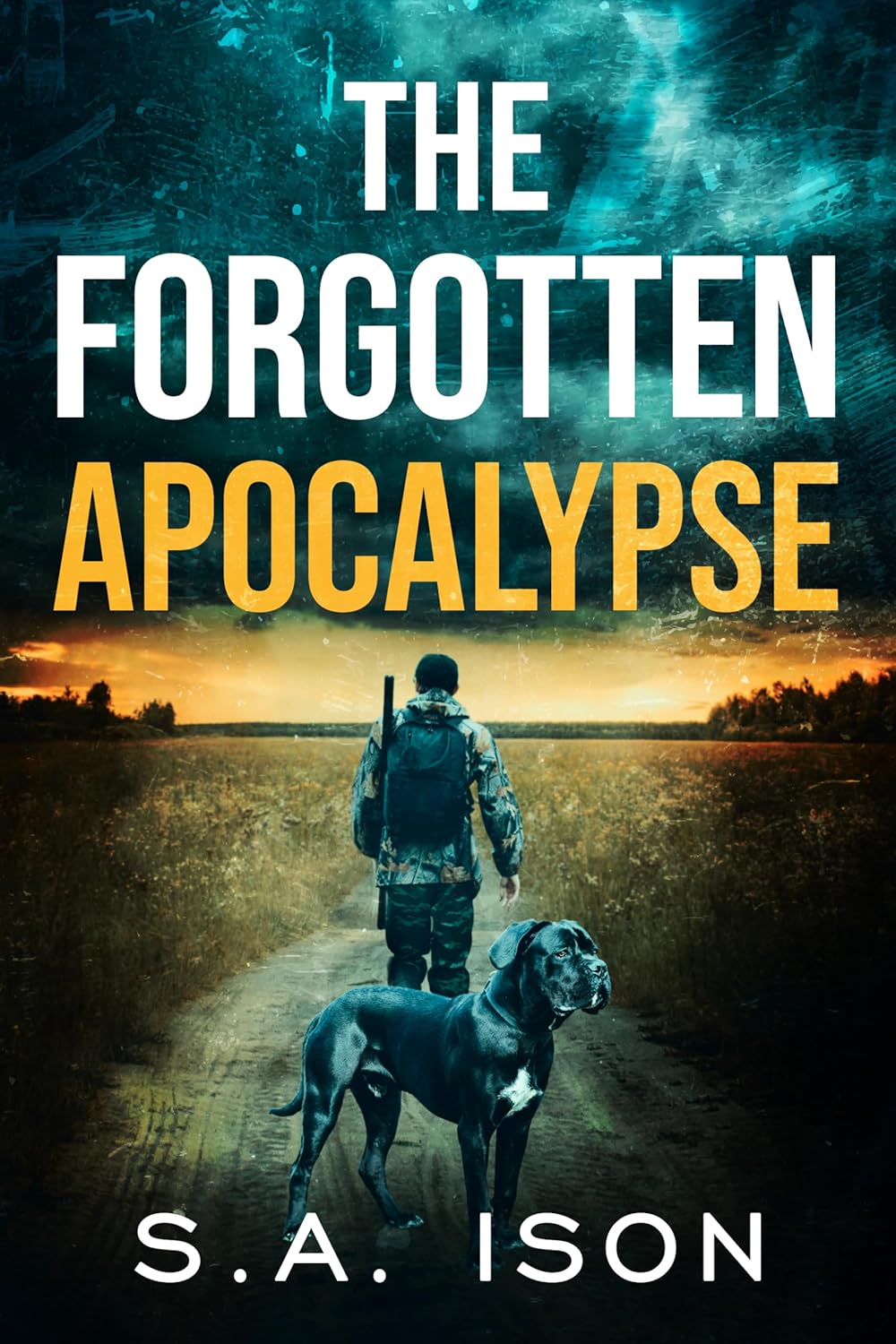 The Forgotten Apocalypse eBook : Ison, S.A.: Amazon.ca: Kindle Store