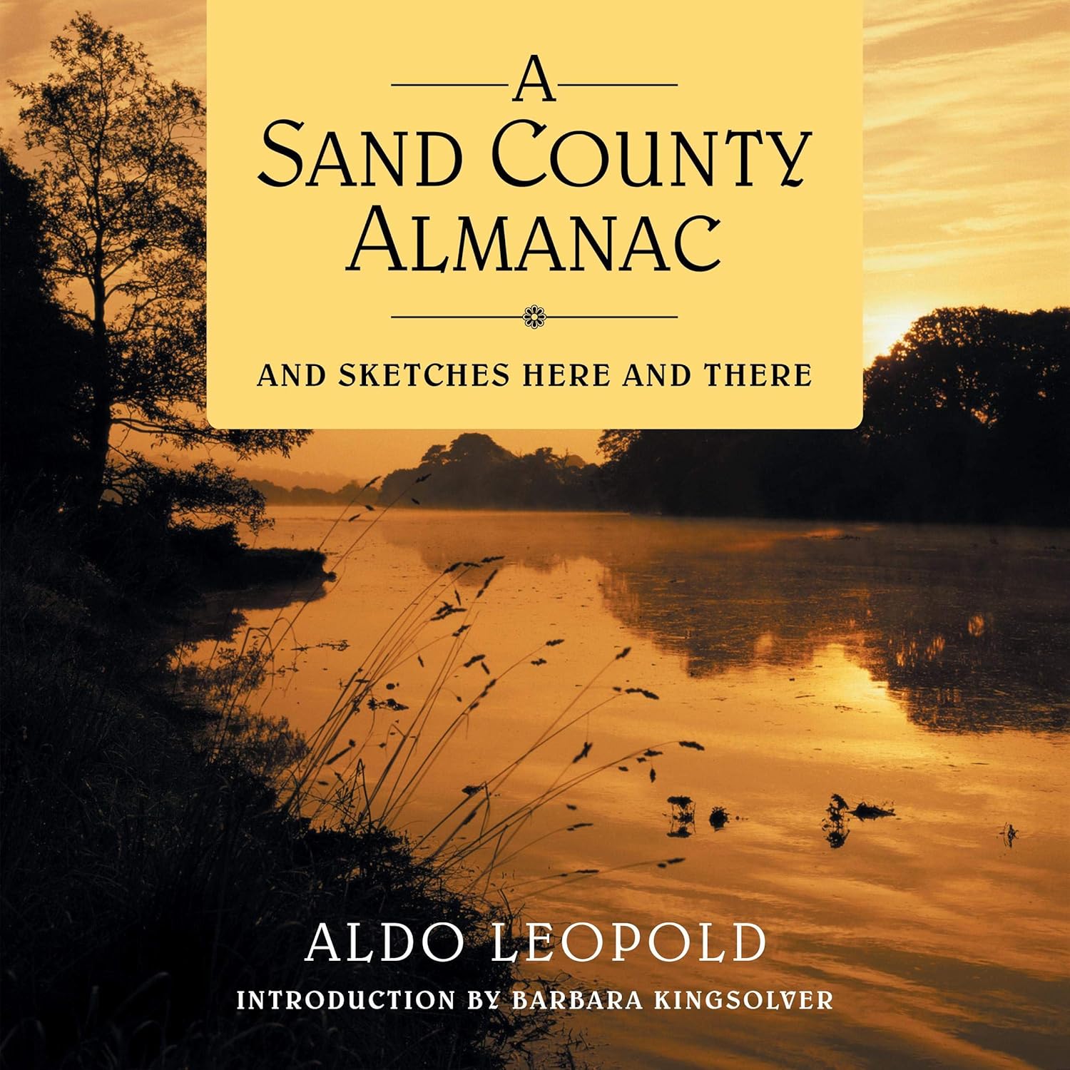 Amazon.com: A Sand County Almanac: And Sketches Here and There (Audible ...