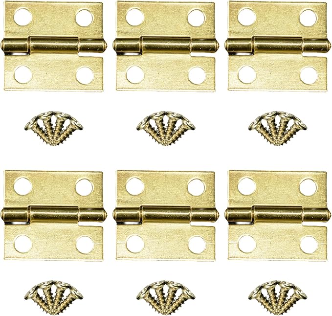 YXIING 6 Pcs Small Hinges for Wood, Small Brass Cabinet Hinges with 24 ...