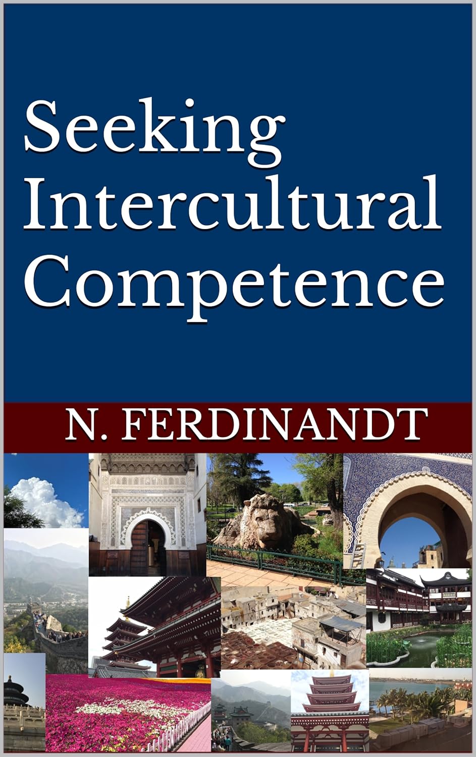 Seeking Intercultural Competence - Kindle edition by Ferdinandt, N., Granger, Sumayya K. R ...