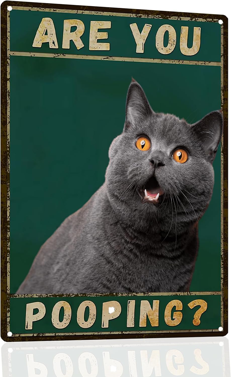 Amazon.com: Are You Pooping Sign- Bathroom Tuxedo Cat Wall Decor Funny ...