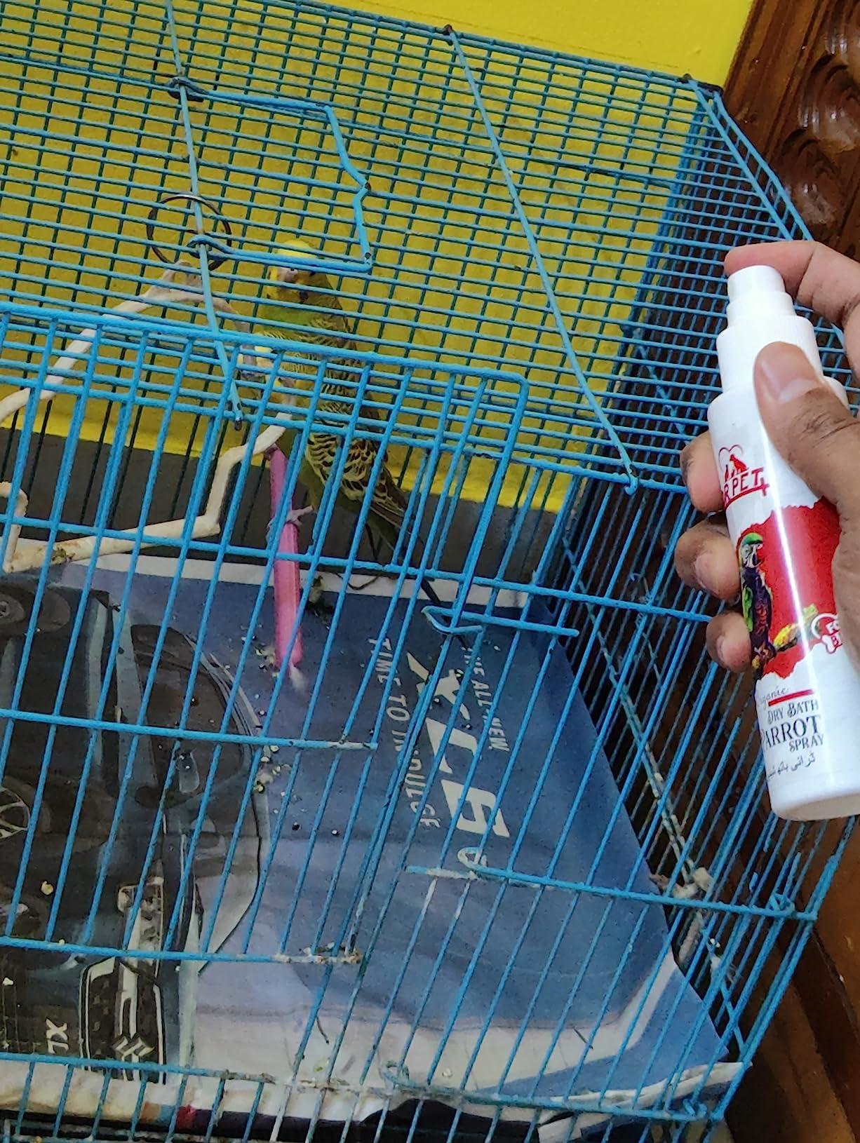 Buy Dr. Pet Plus Luxury Professional Organic Dry Bath Parrot Spray Bird ...