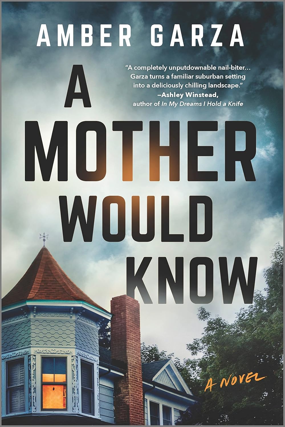 Amazon.com: A Mother Would Know: A Novel eBook : Garza, Amber: Kindle Store