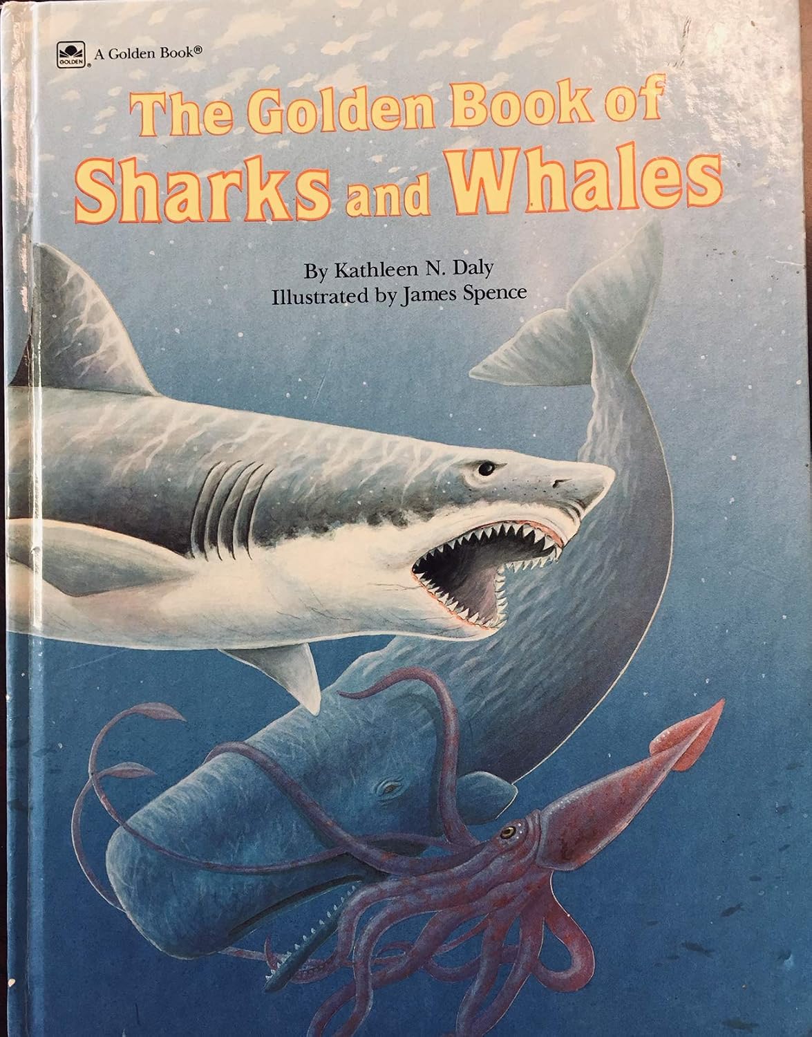 Amazon | The Golden Book of Sharks and Whales (Big Golden Book S ...