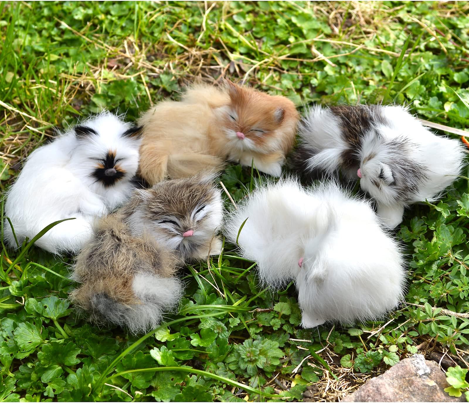 Buy STP-US Set Of 5 Mini Realistic Cats Lifelike Baby Kittens Cute ...