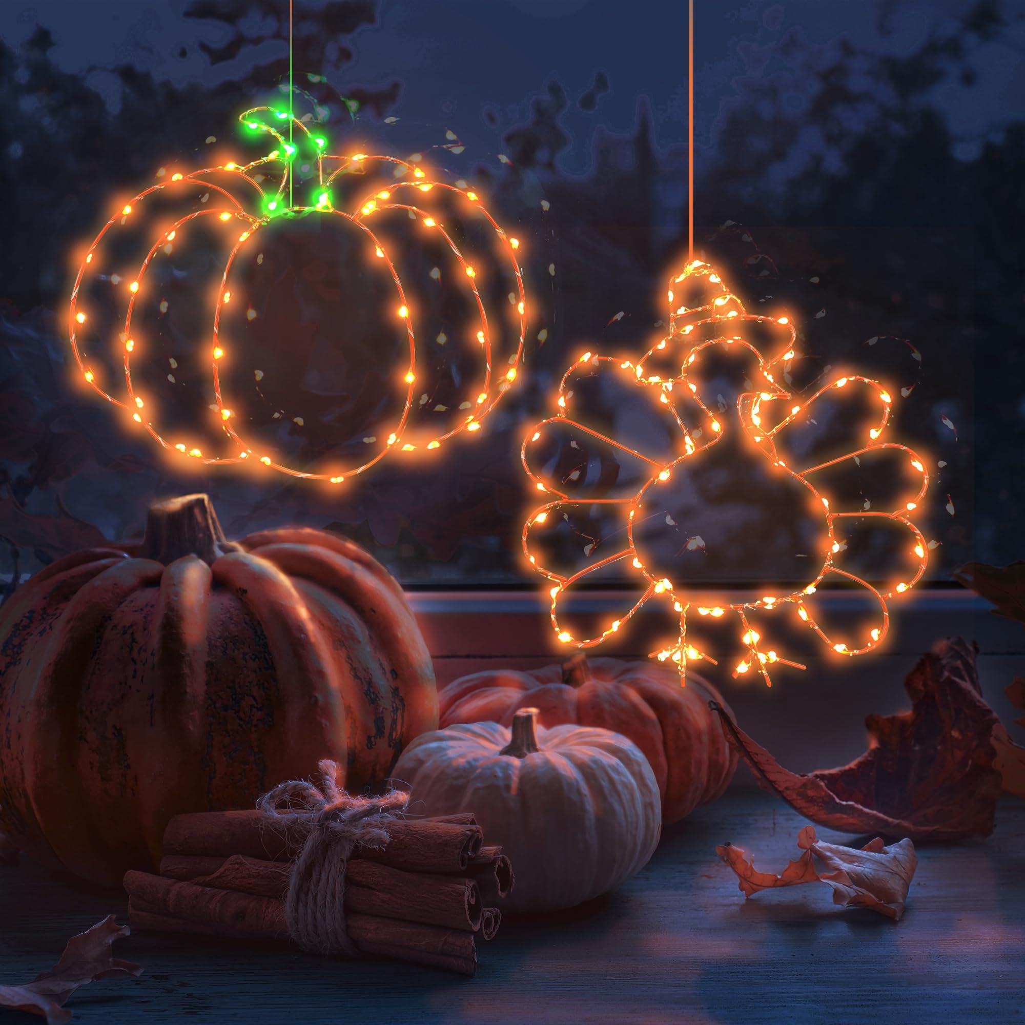 Amazon.com: Thanksgiving Turkey Pumpkin Window Lights 2 Pack, Light up ...