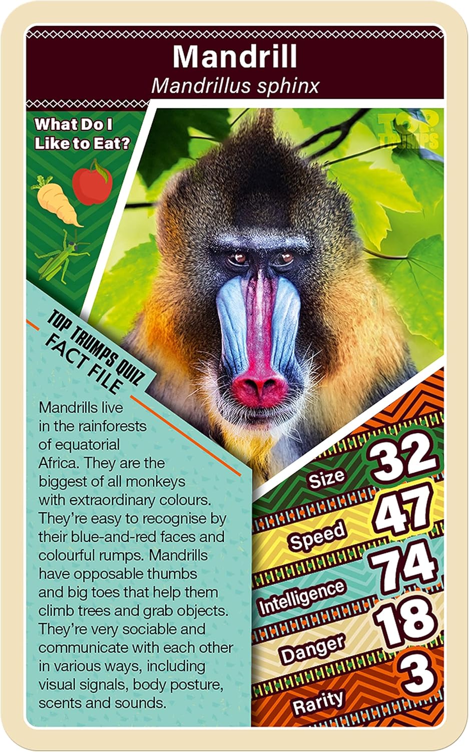 Top Trumps Africa’s Wildlife Card Game – BigaMart