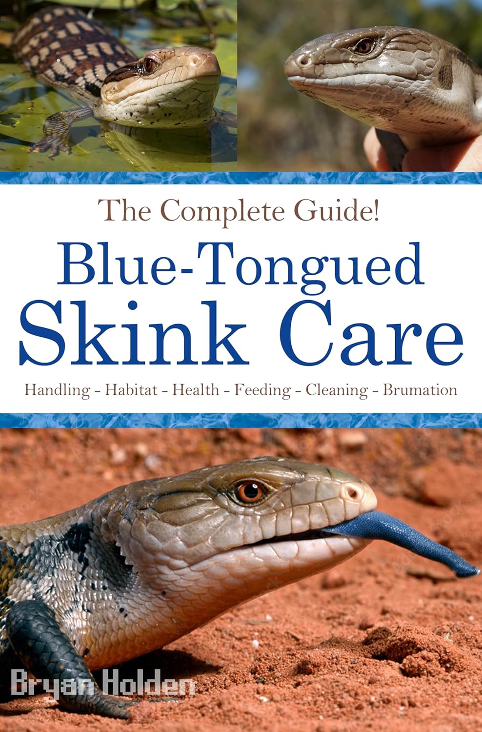 Blue-Tongued Skink Care: The Complete Guide to Caring for and Keeping ...