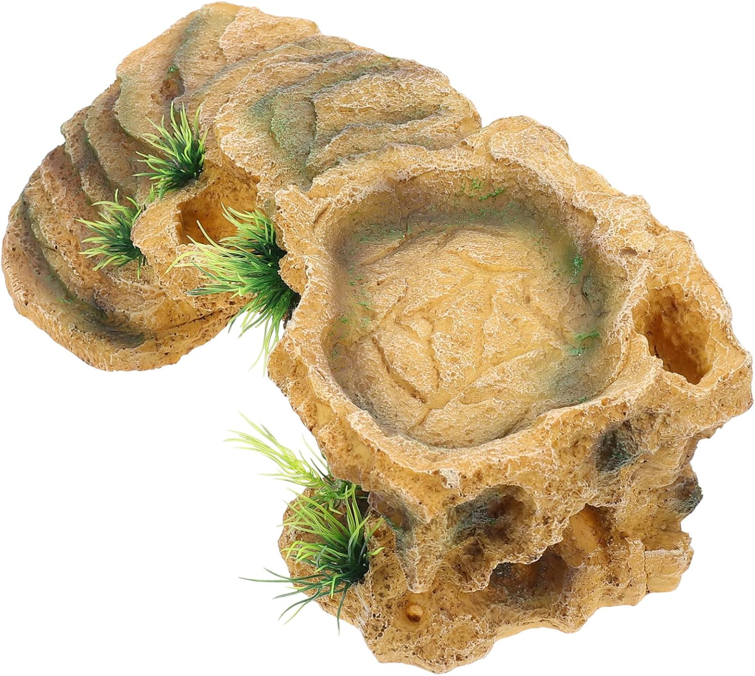 Amazon.co.jp: BUGUUYO Turtle Terrace Turtle Dock Turtle Tank Platform ...