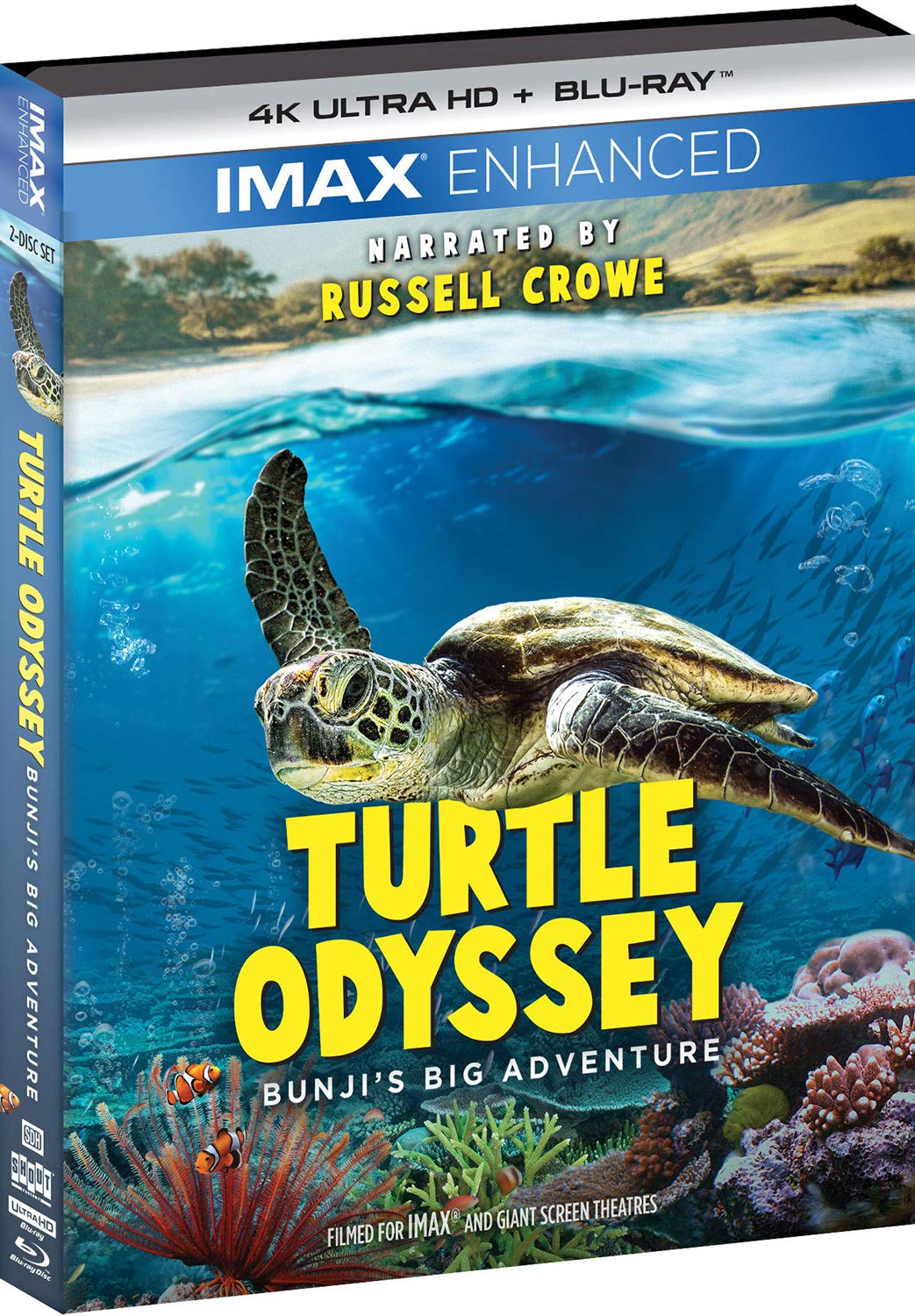 Amazon.com: Turtle Odyssey [Blu-ray] : Russell Crowe, Caspar Mazzotti ...