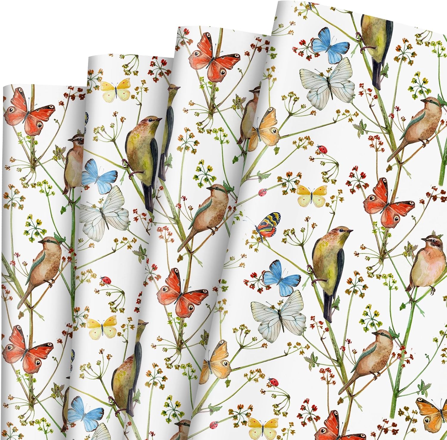 Amazon.com: AnyDesign Bird Wrapping Paper Watercolor Butterfly Branch ...