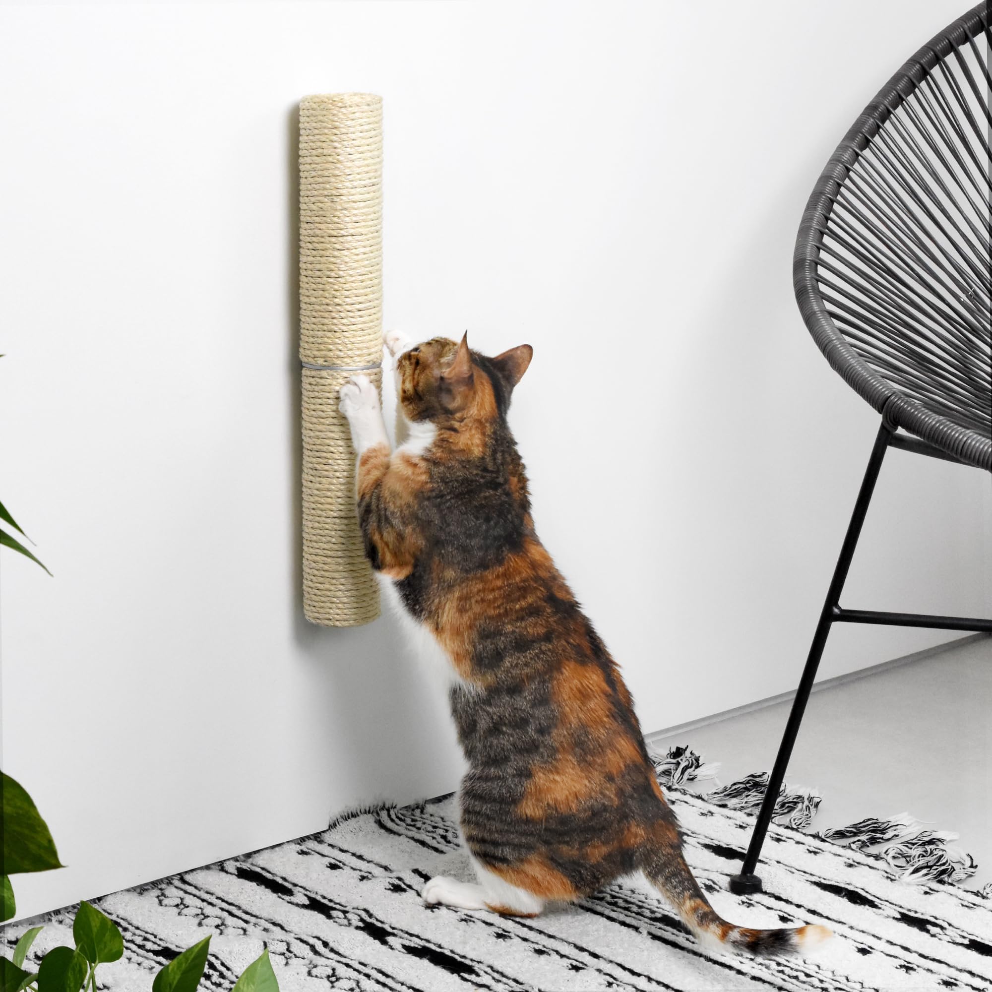 Amazon.com : xympo 18" Compact Wall Mounted Cat Scratcher, Sisal ...