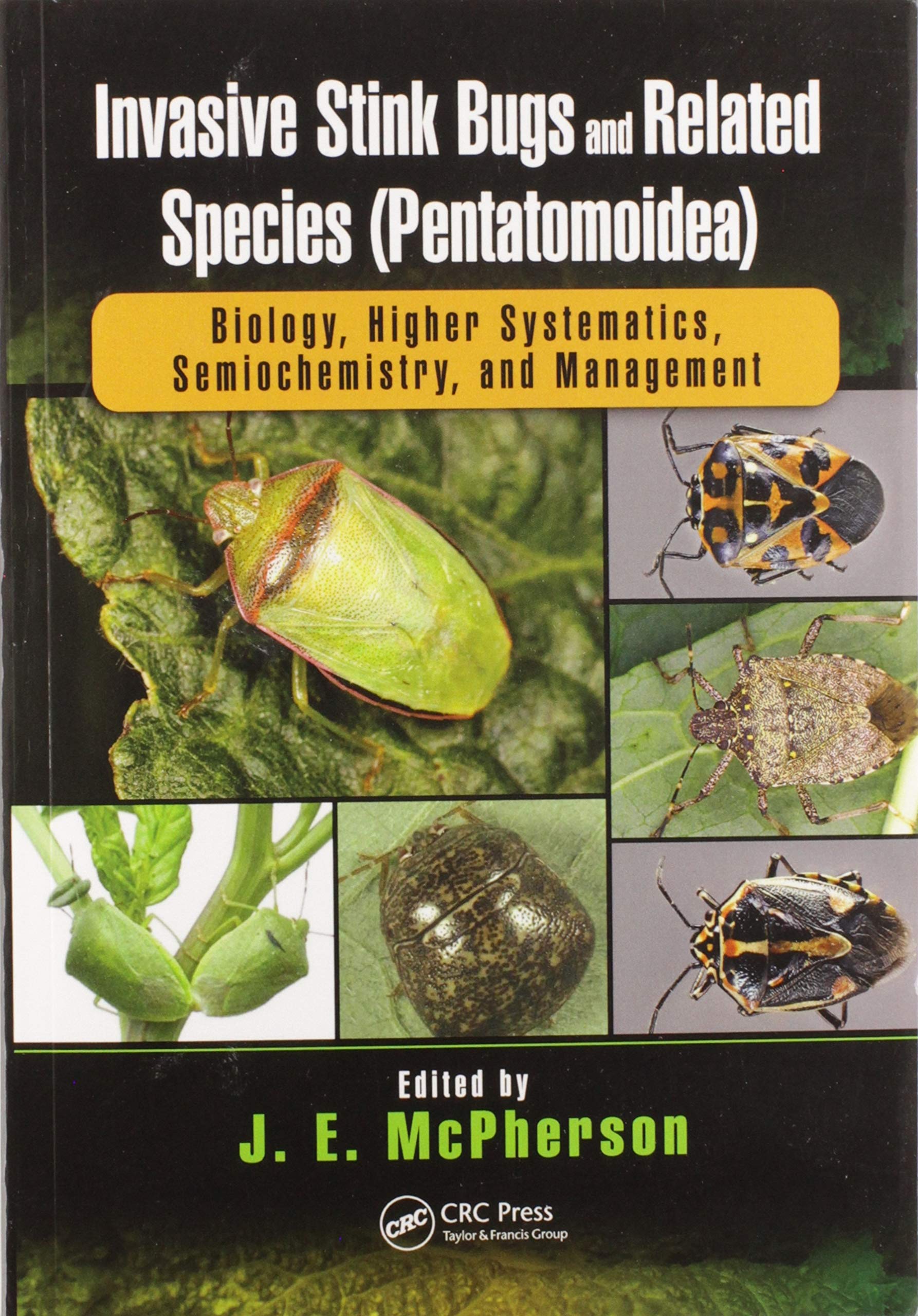 Buy Invasive Stink Bugs and Related Species (Pentatomoidea): Biology ...