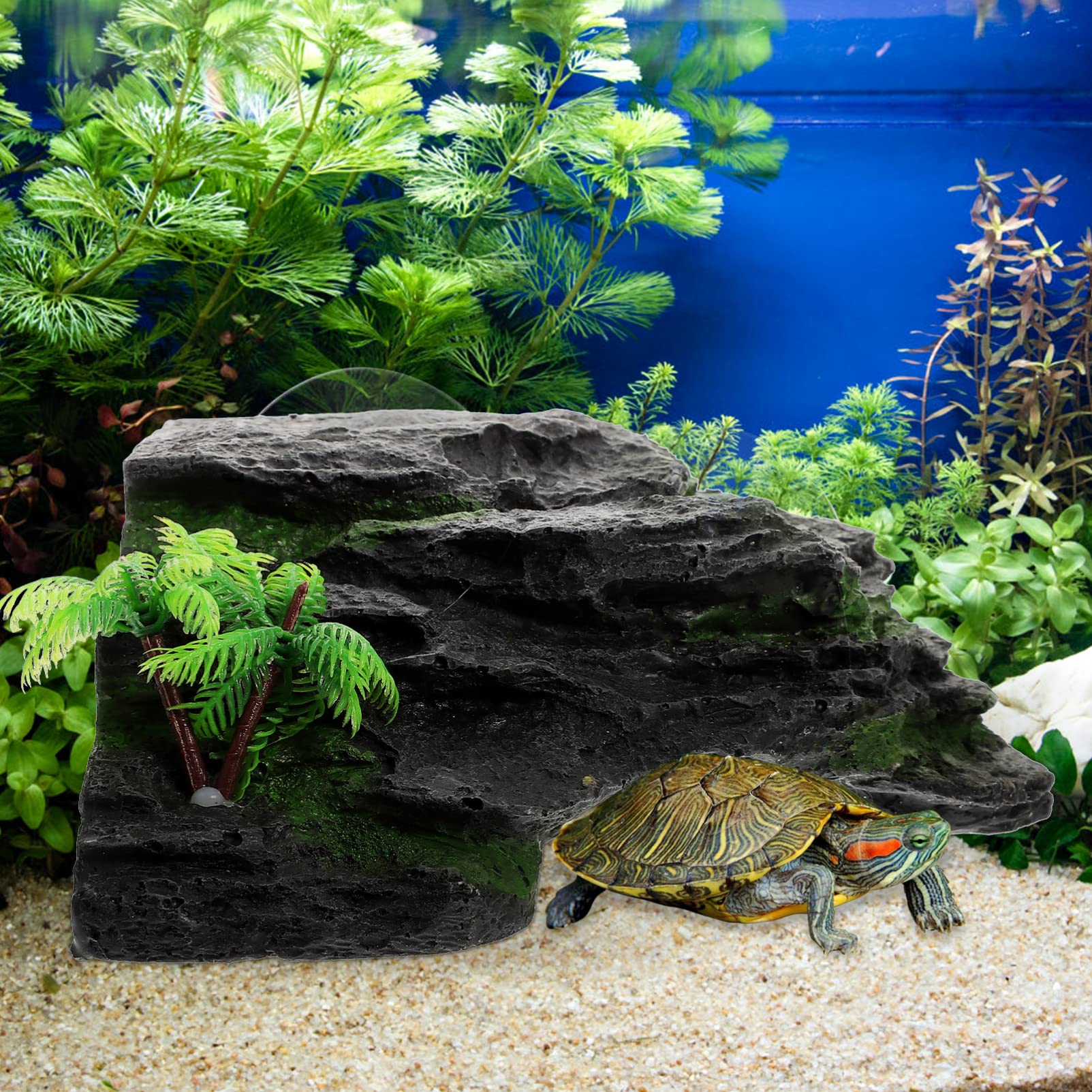 Awesome Turtle Tanks
