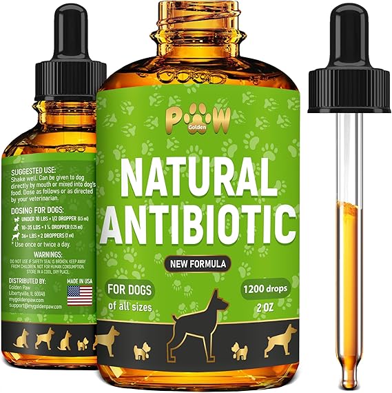 Amazon.com : Dog Antibiotics for Infections, Cough, & Teeth Moments ...