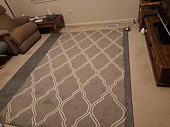 Amazon.com: Woo Warmer Hot Carpet Under Rug Radiant Floor Heater ...