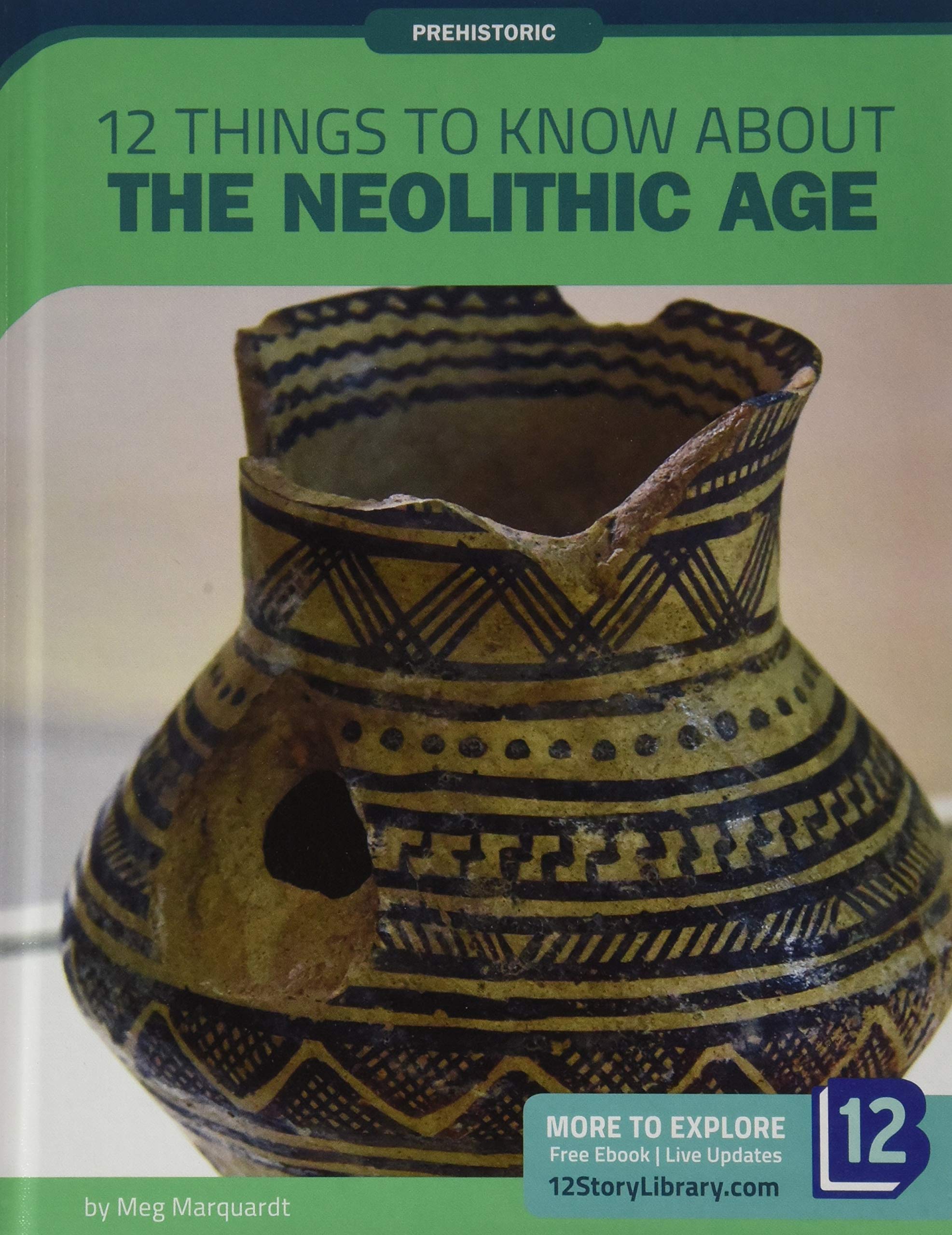 Buy 12 Things to Know about the Neolithic Age (Prehistoric) Online at ...