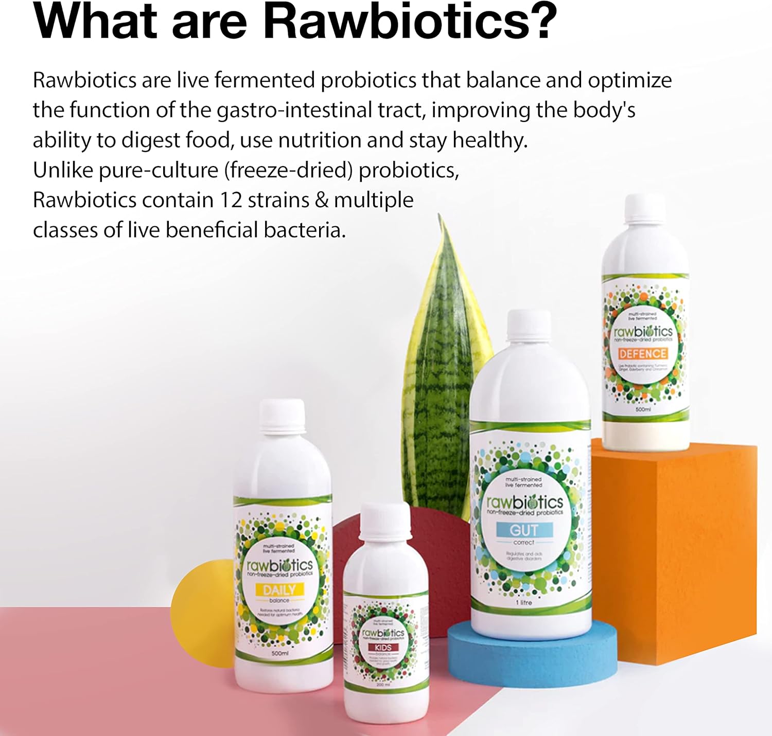 Rawbiotics Daily Balance – Suplemento probiótico líquido crudo, sin ...
