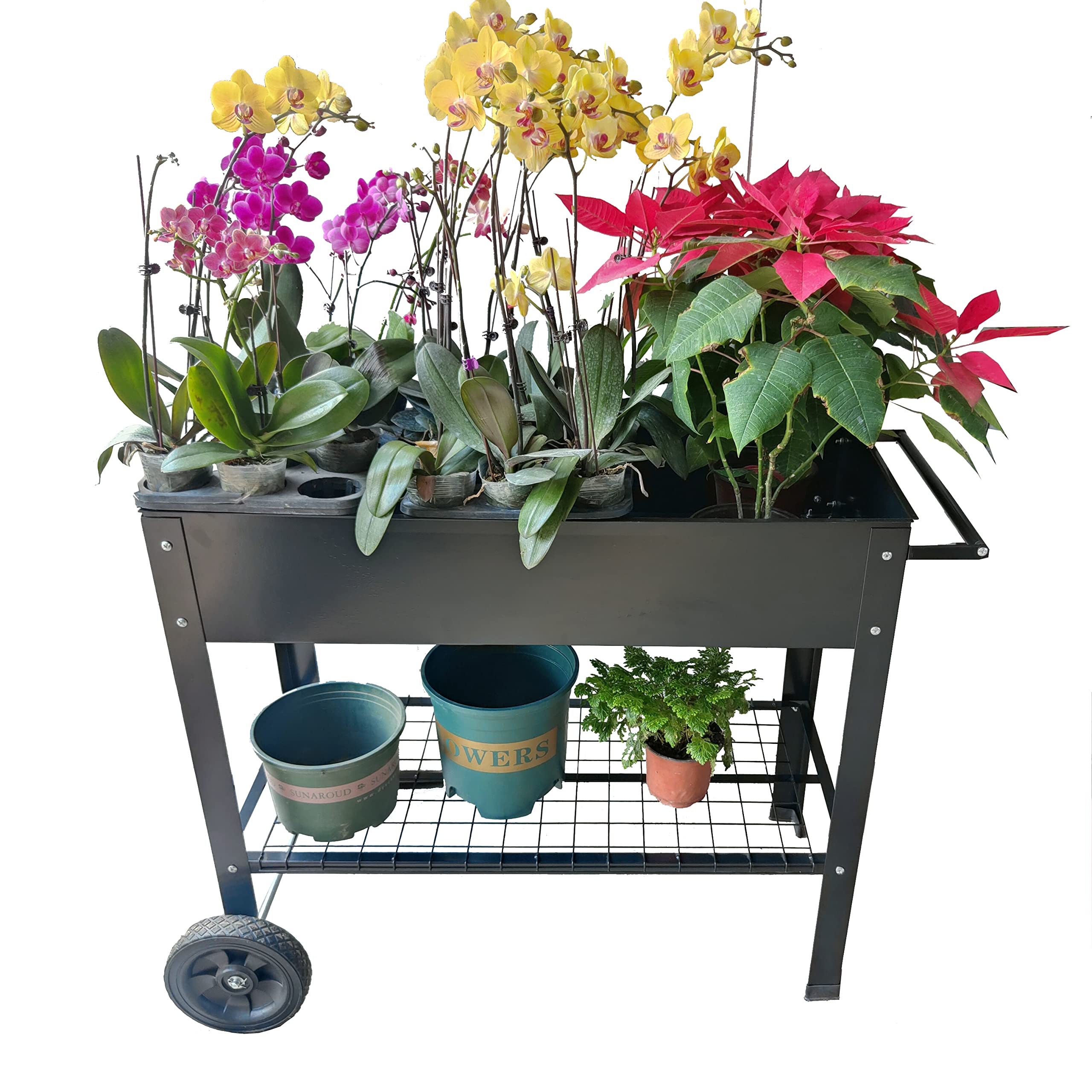 Amazon.com: LKIJYG Movable Raised Garden Bed with Wheels and Legs ...