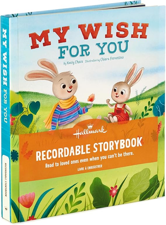 Amazon.com: Hallmark Recordable Book for Children (My Wish for You ...