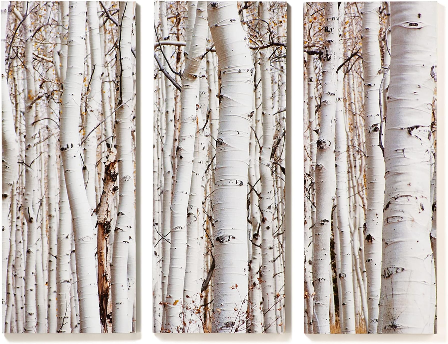 Giftcraft Birch Tree Wall Art - Birch Tree Canvas in 3 Panels ...