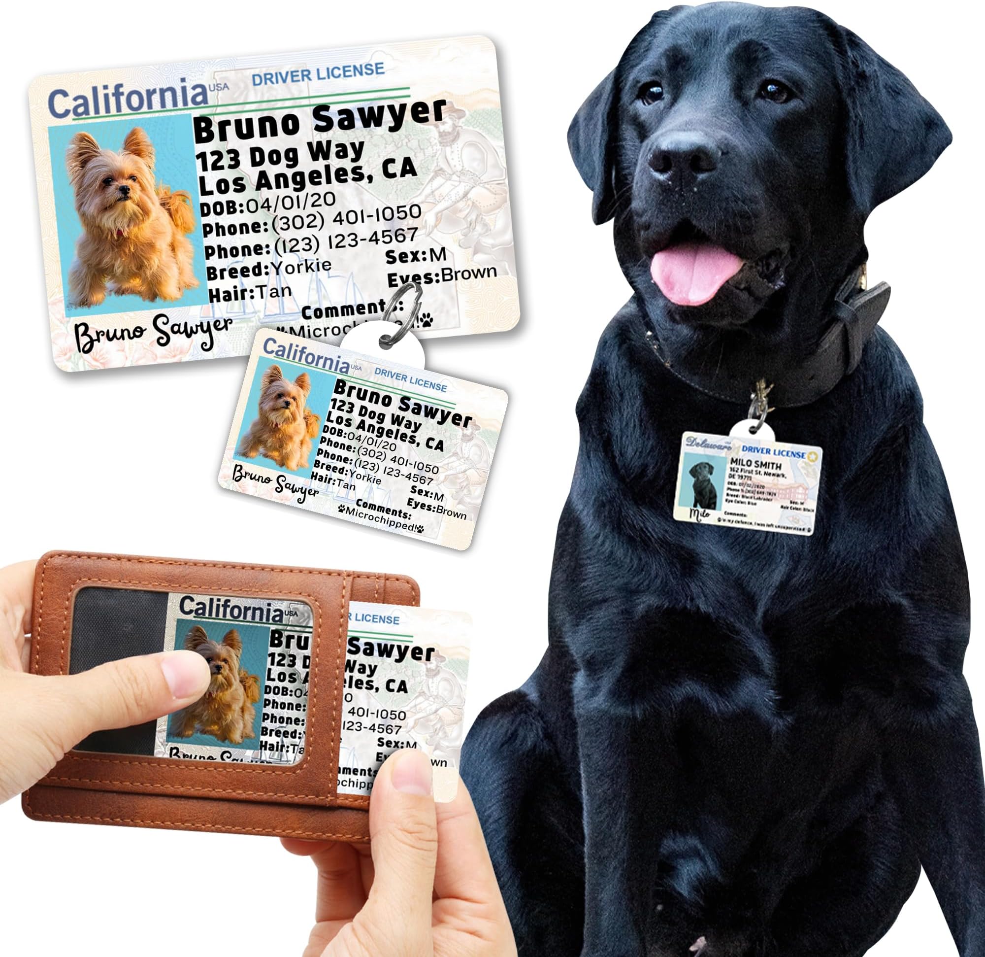 Amazon.com: Arizona State Drivers License Personalized for Dog's and ...