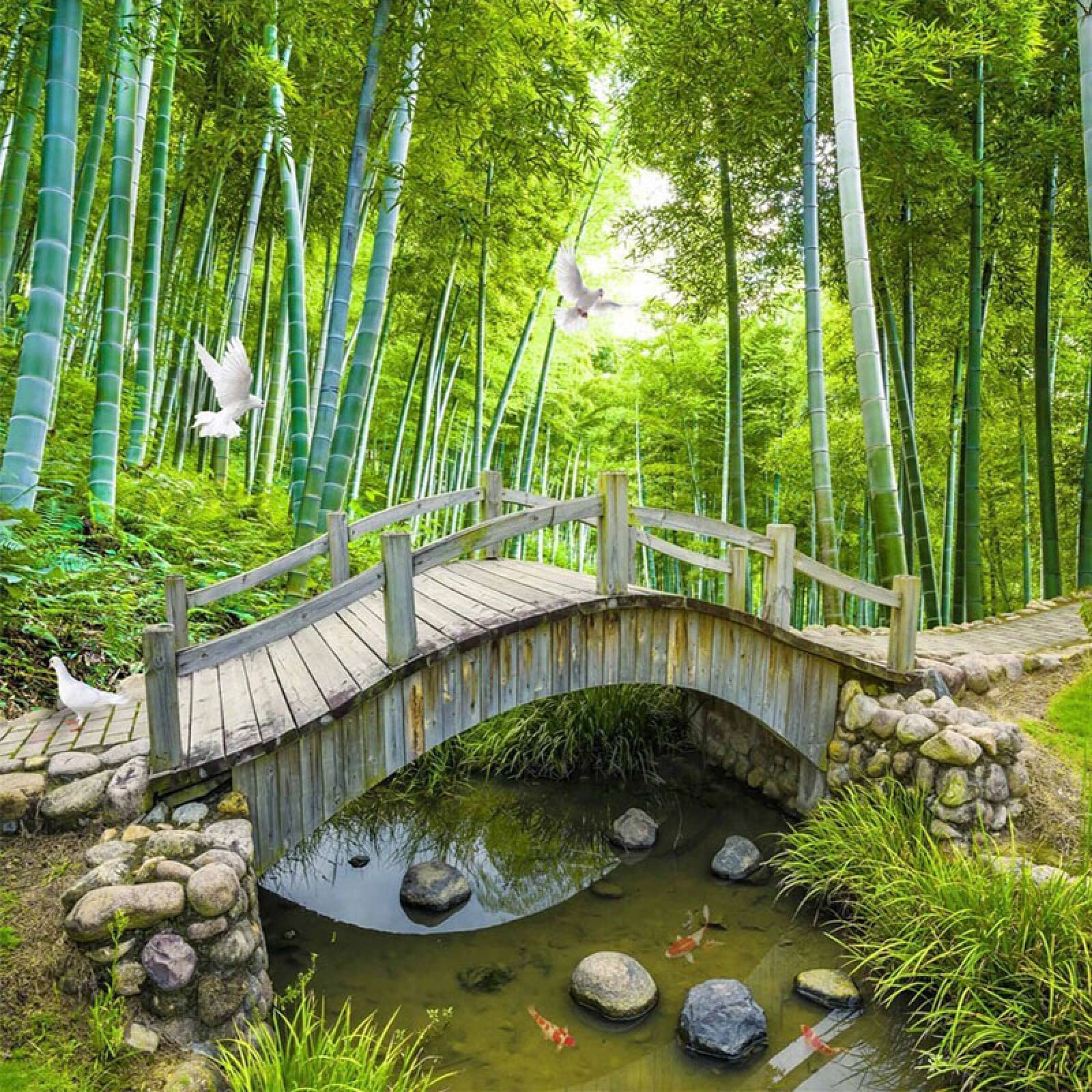 Papel De Parede De Ponte De Madeira 600.000+ Melhores Imagens De Ponte