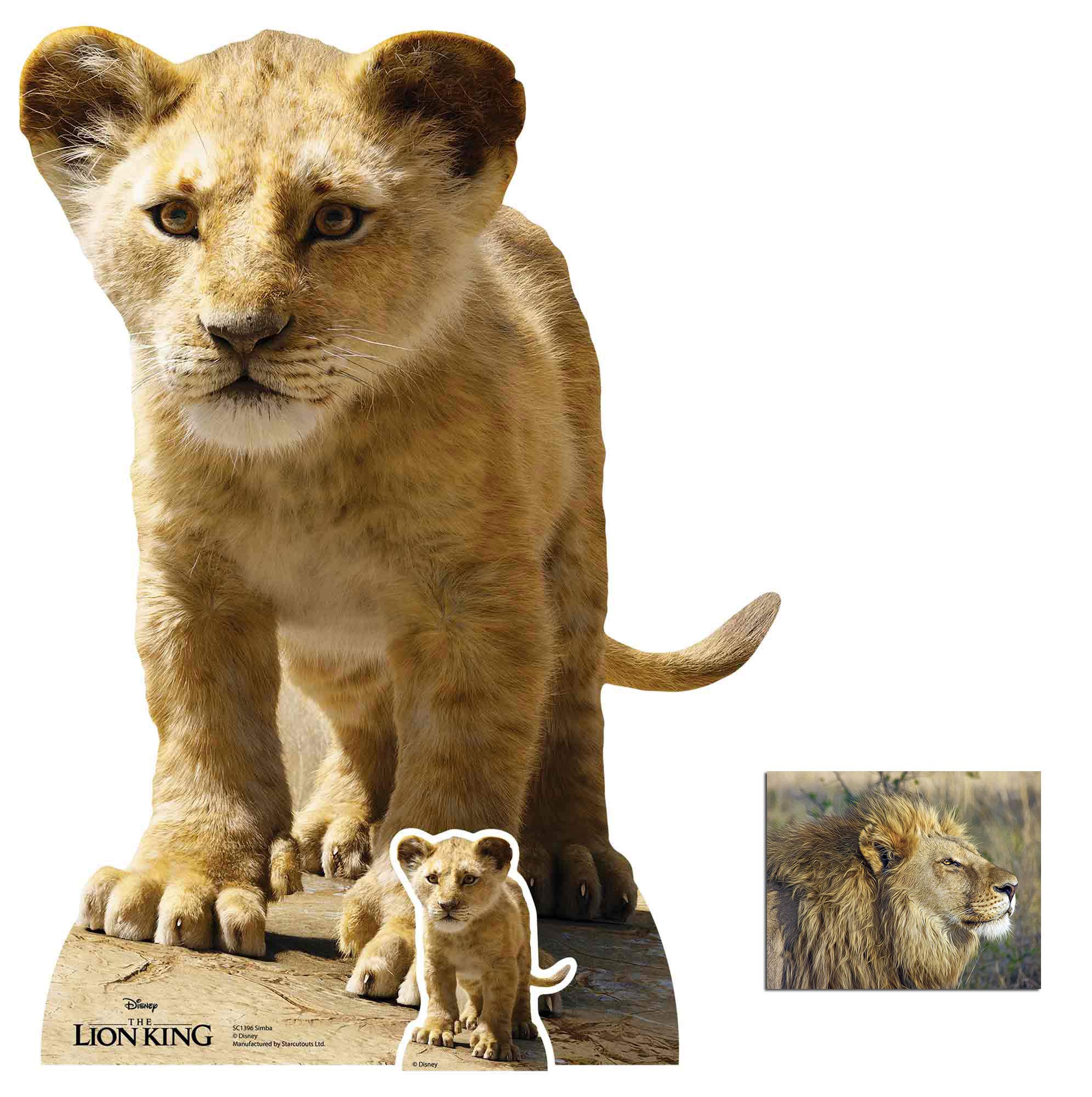 Lion King Official Simba From Disneys The Live Action Style ...