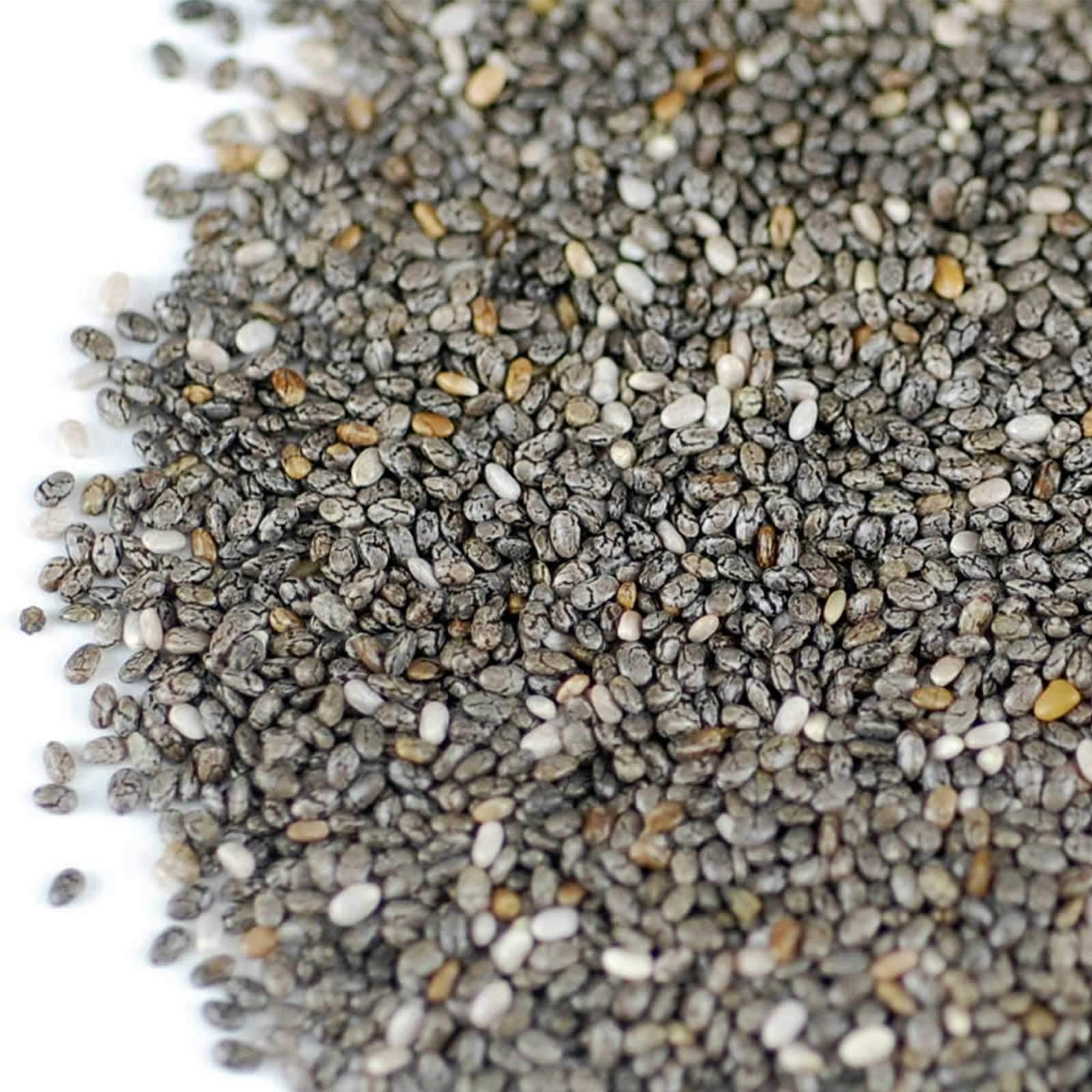 Amazon.com : Chia Sprouting Seeds: 3 g Packet ~2000 Seeds - Non-GMO ...