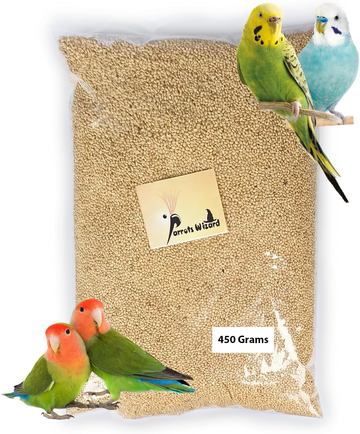 Buy Touch of life - Kangni/Thenai Seeds for Birds Food (450 Grams ...