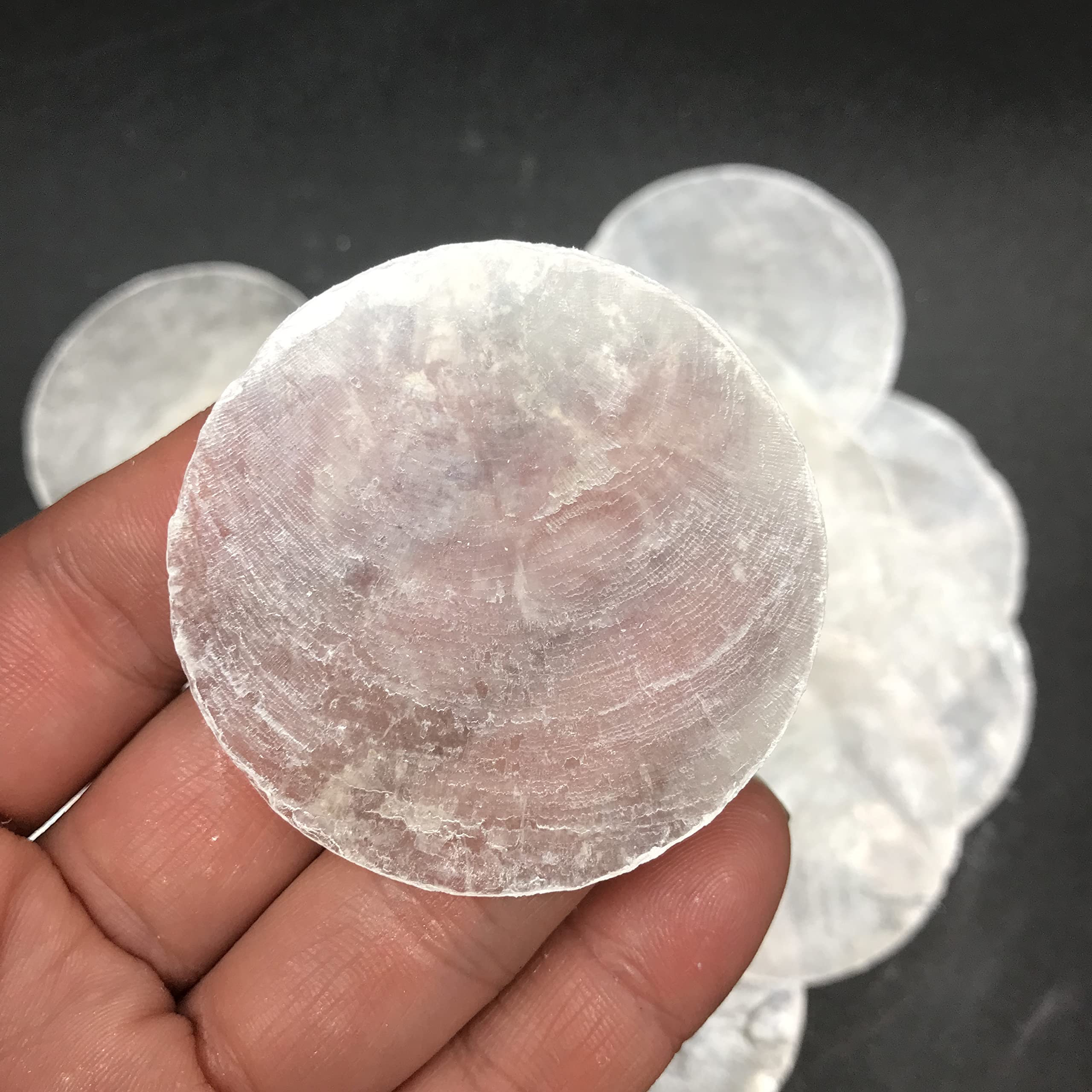 Amazon.com: PEPPERLONELY 25 PC Round Natural Capiz Sea Shells, 2 Inch ...