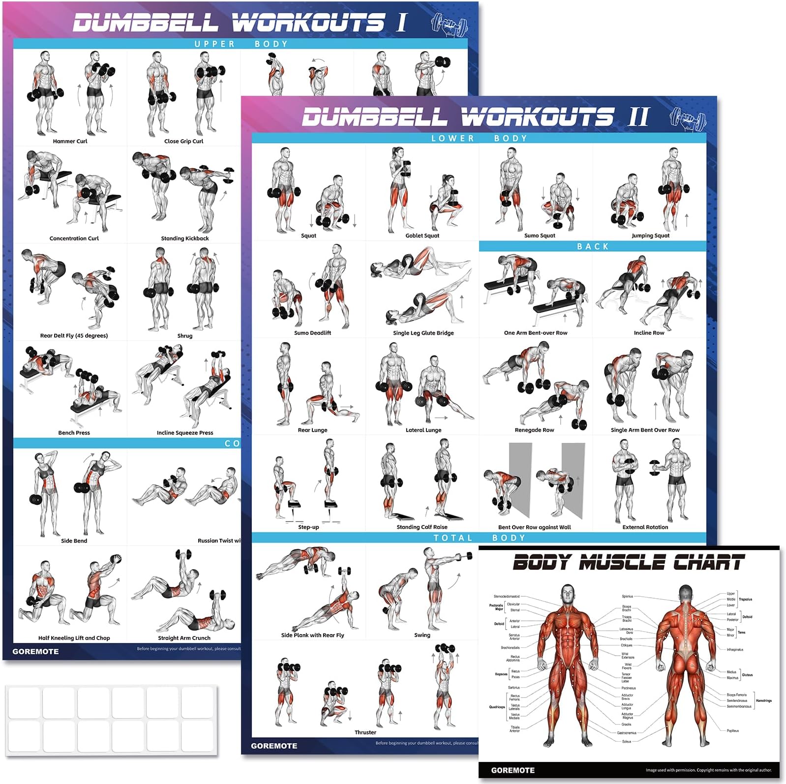 Amazon.com: Dumbbell Workout Poster Set (2 Pack) - Workout Charts for ...