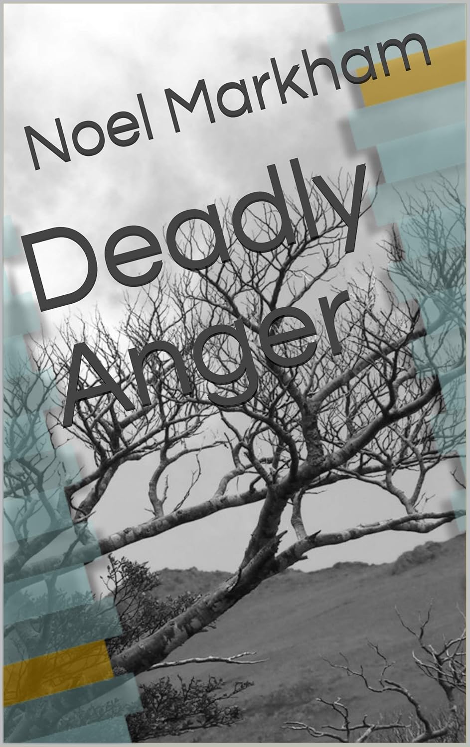 Deadly Anger - Kindle edition by Markham, Noel. Mystery, Thriller ...