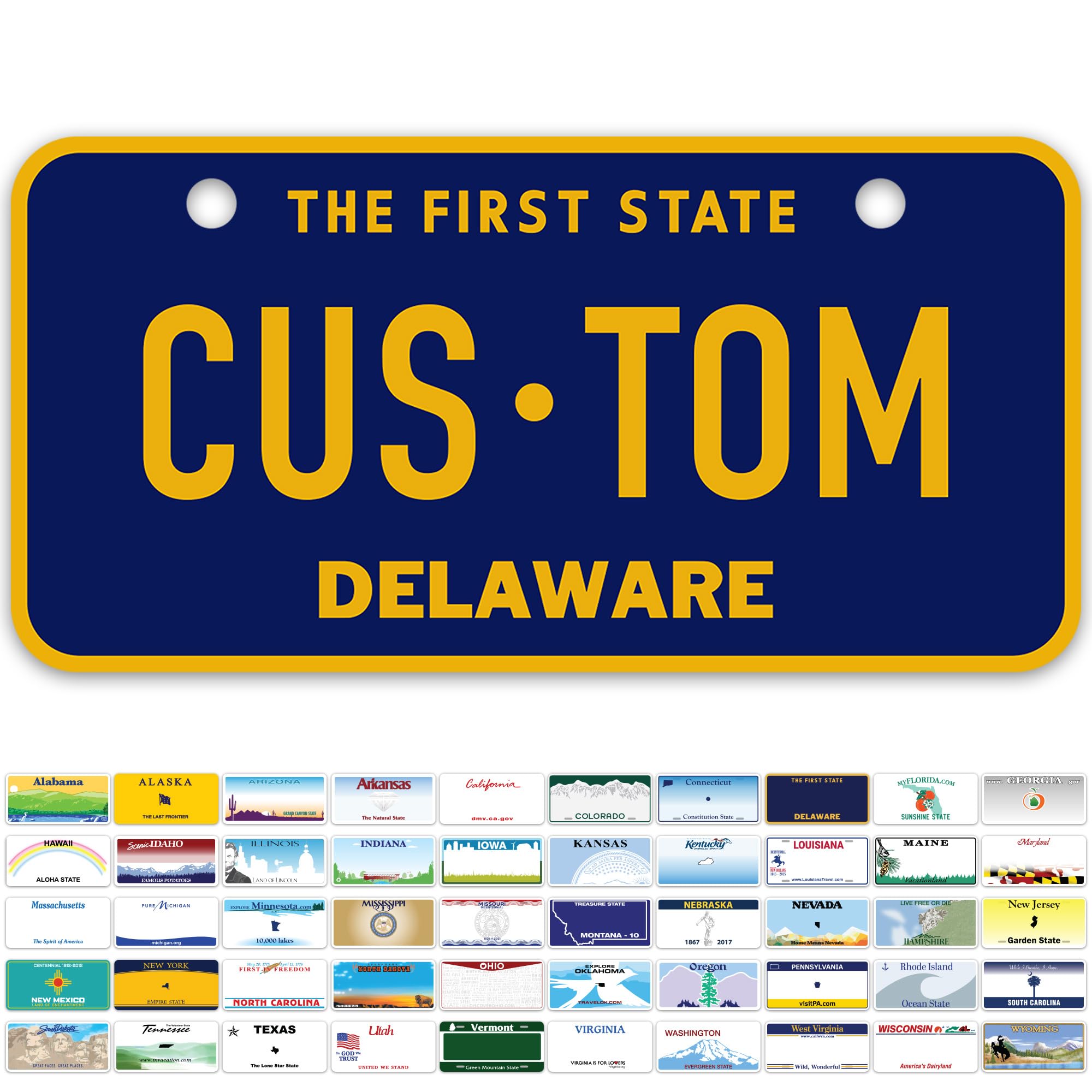 Amazon.com: Mini License Plates, Personalized License Plates, Custom ...